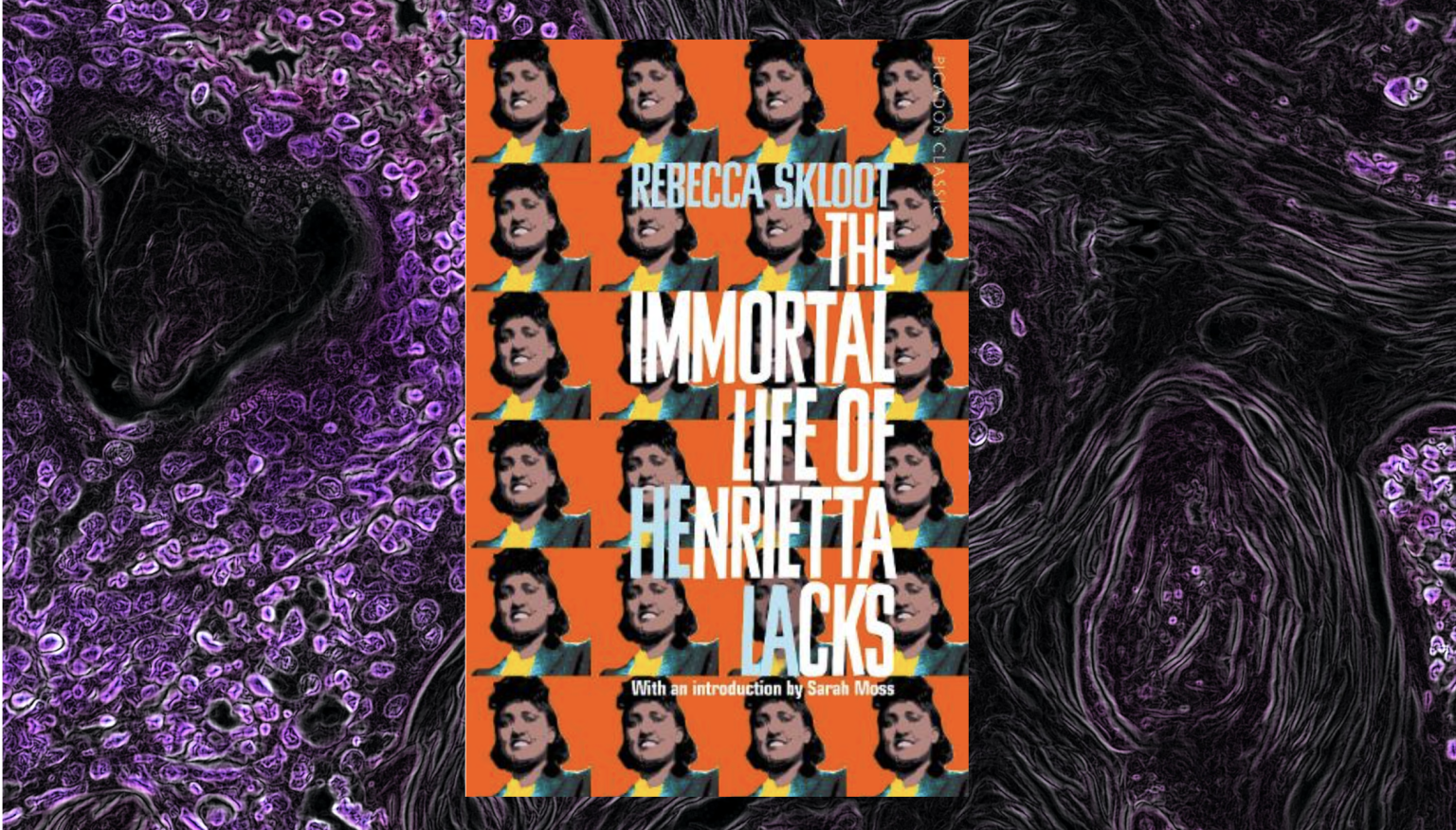 Book review: The immortal Life of Henrietta Lacks – BJGP Life