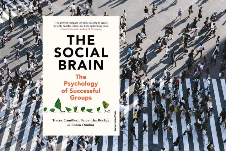 Book review: The Social Brain: The Psychology of Successful Groups ...