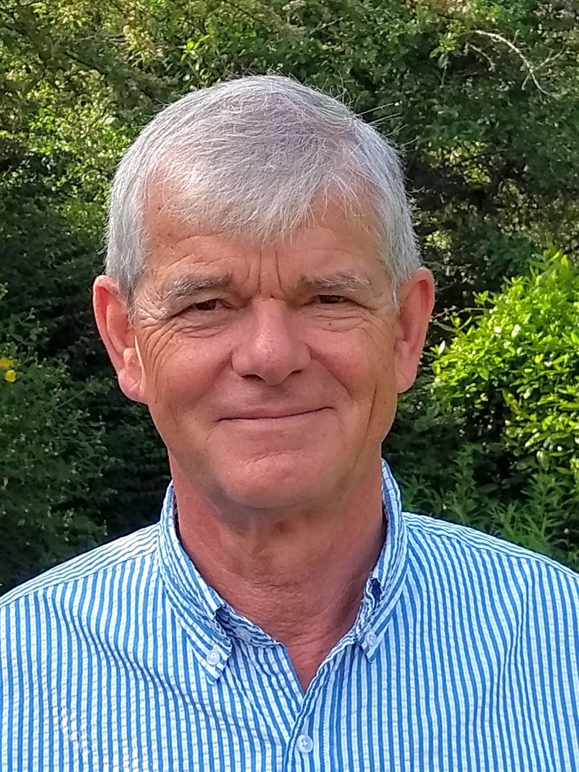 The white screen of death is back again? – BJGP Life